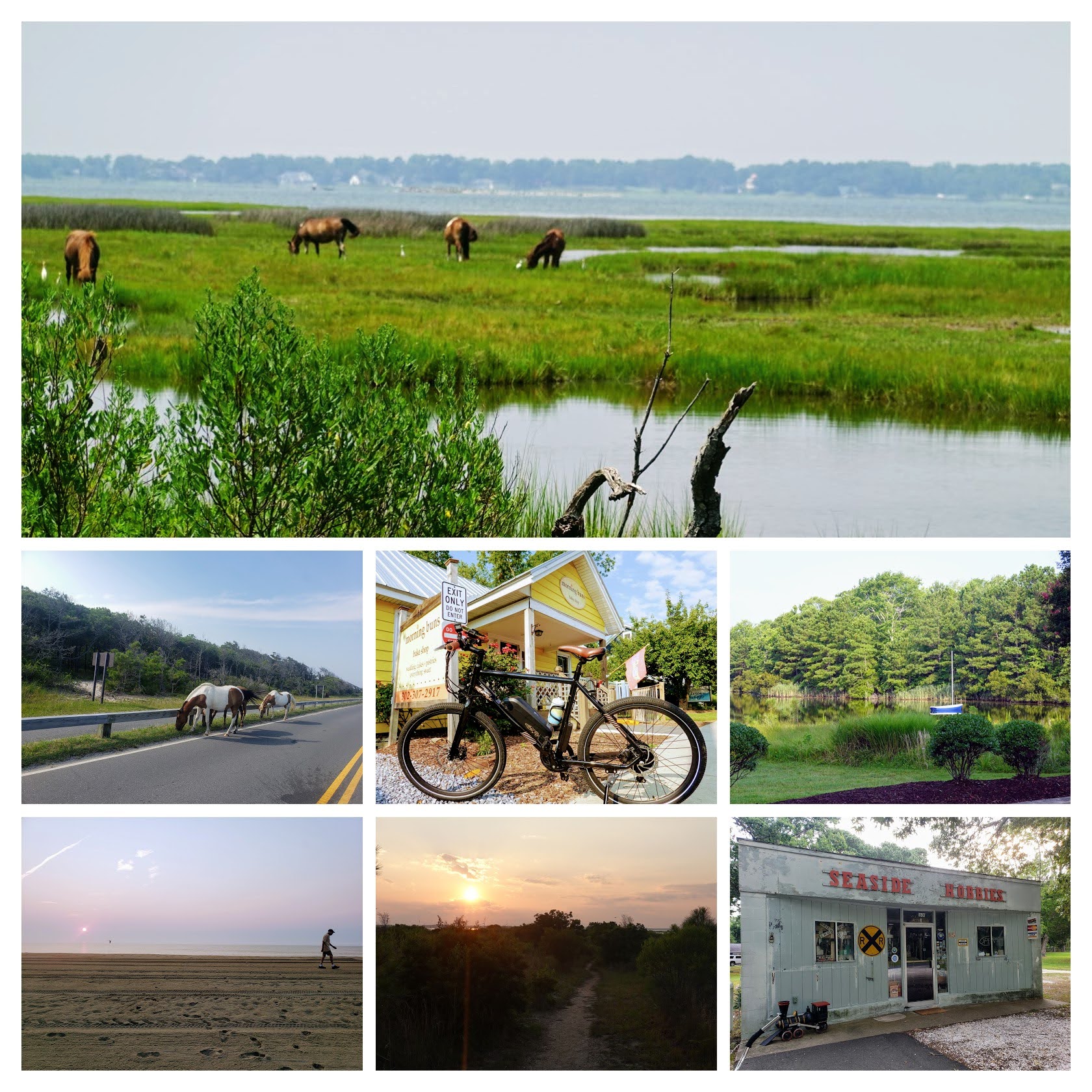 Ariel Rider Rideal Review – One of the Best Electric Bikes Under $1,000